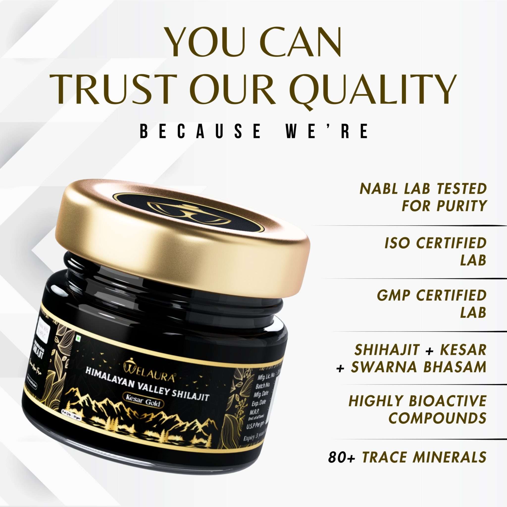 Welaura’s Himalayan Valley Shilajit (Kesar Gold) | 20 gm - Welaura